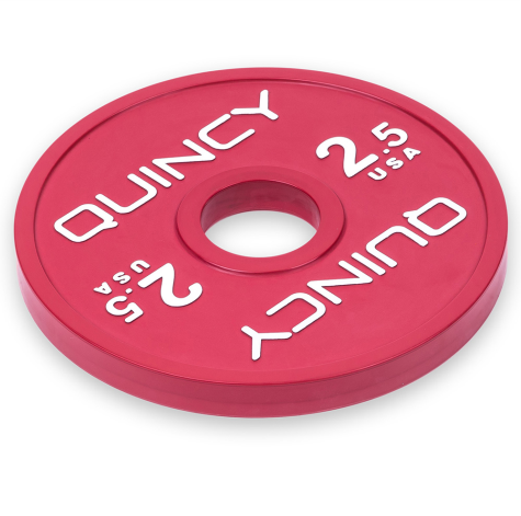 Training Disc Fg 2,5 Kg - Quincy Sport