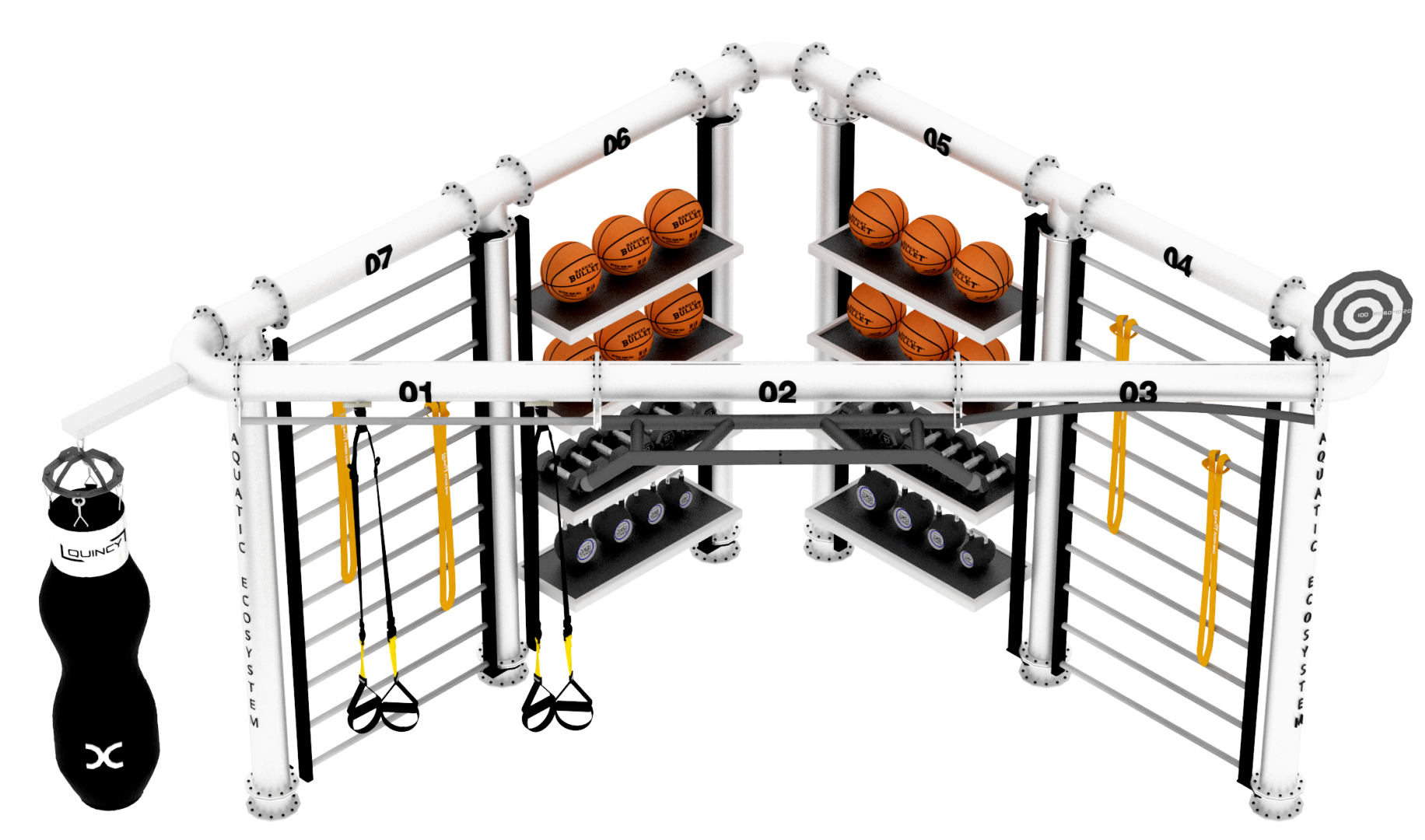 Aquatic Ecosystem Triangle Two - Quincy Sport